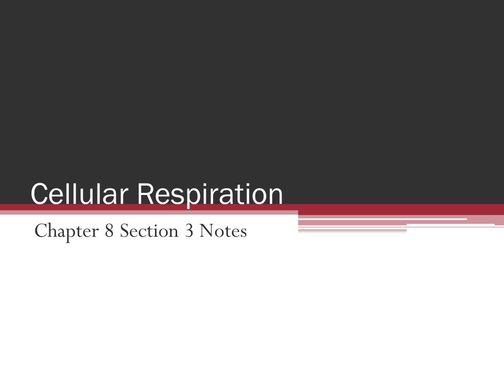 PPT - Cellular Respiration PowerPoint Presentation, free download - ID ...