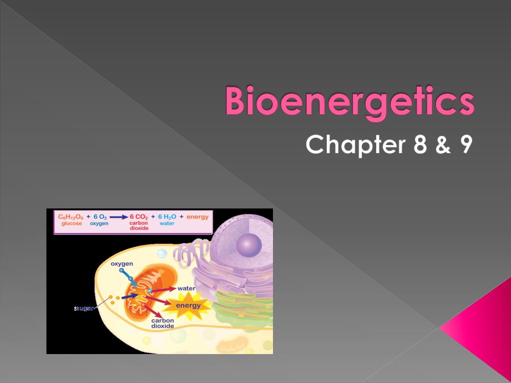 PPT - Bioenergetics PowerPoint Presentation, free download - ID:1904544