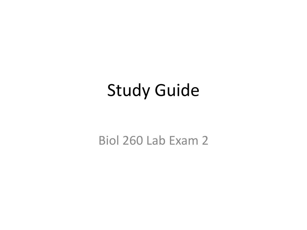 PPT - Study Guide PowerPoint Presentation, free download - ID:1904953