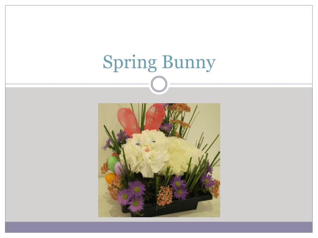 PPT - Spring Bunny PowerPoint Presentation, free download - ID:1906051