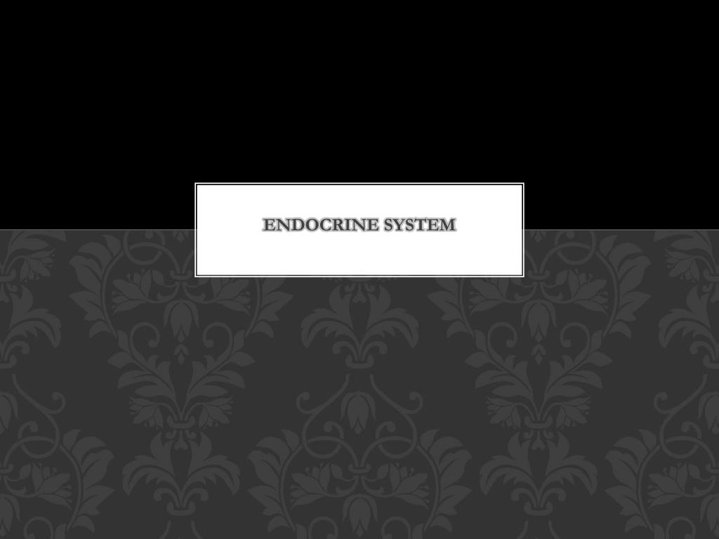PPT - Endocrine system PowerPoint Presentation, free download - ID:1910627