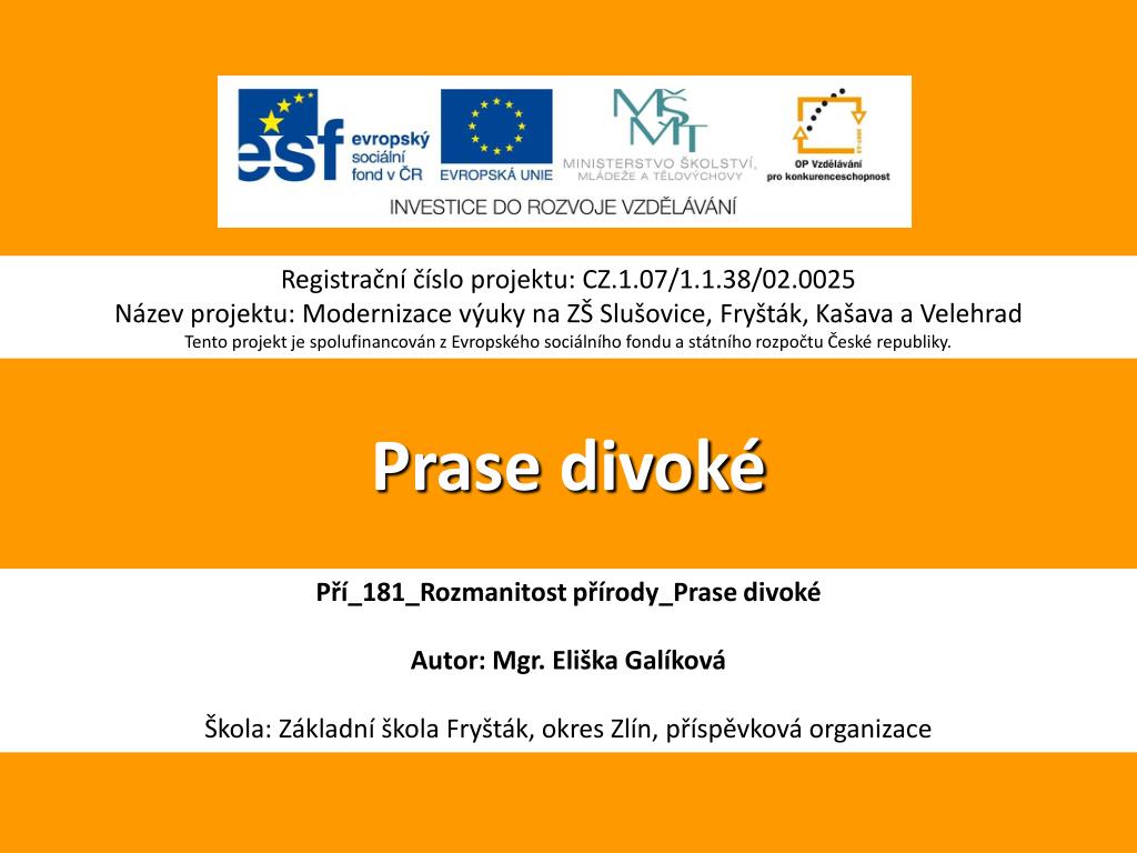 PPT - Prase divoké PowerPoint Presentation, free download - ID:1911964