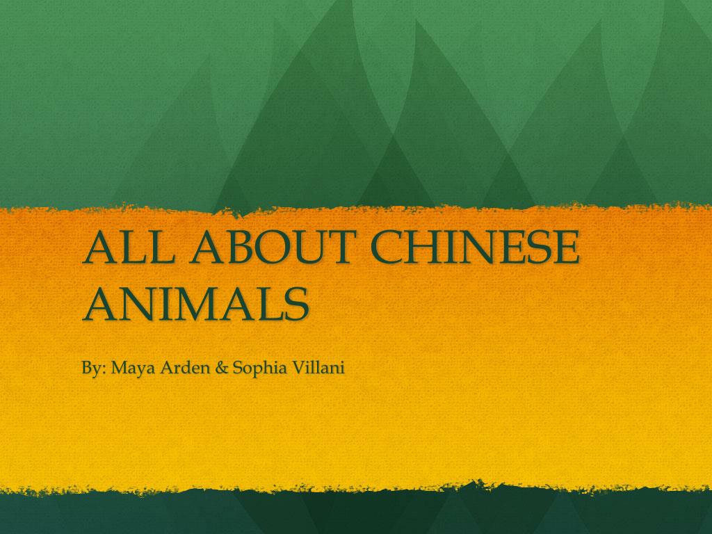 PPT - ALL ABOUT CHINESE ANIMALS PowerPoint Presentation, free download ...