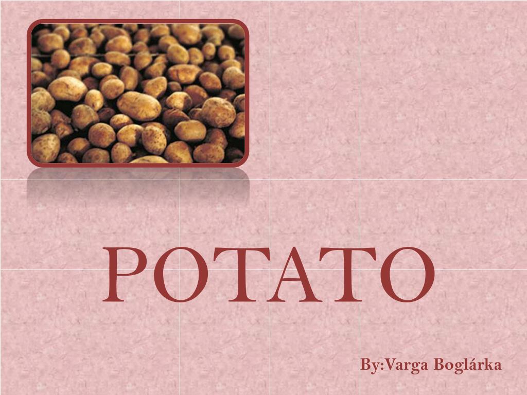 PPT - POTATO PowerPoint Presentation, free download - ID:1913114
