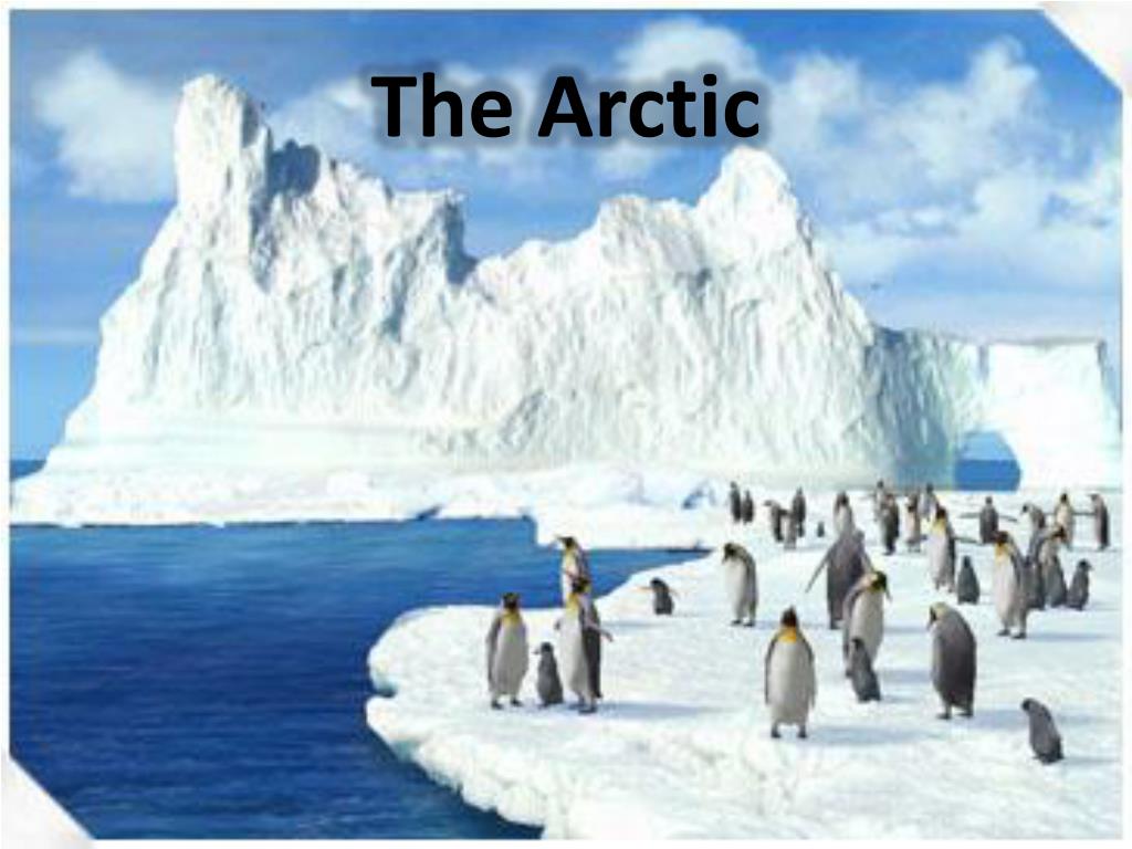PPT - The Arctic PowerPoint Presentation, free download - ID:1915813