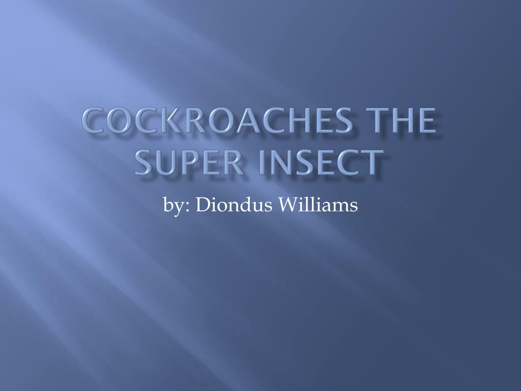 PPT - C ockroaches the super insect PowerPoint Presentation, free ...