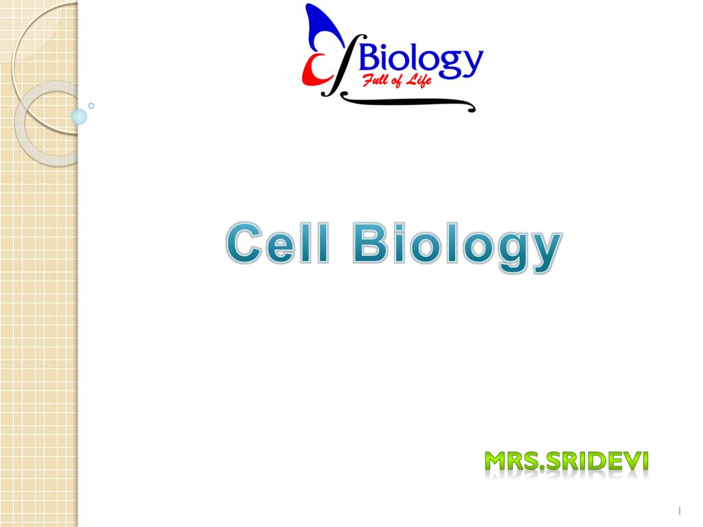 PPT - Cell Biology PowerPoint Presentation, free download - ID:1917185