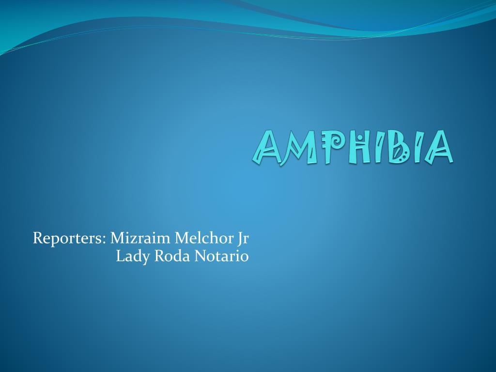 PPT - AMPHIBIA PowerPoint Presentation, free download - ID:1918080