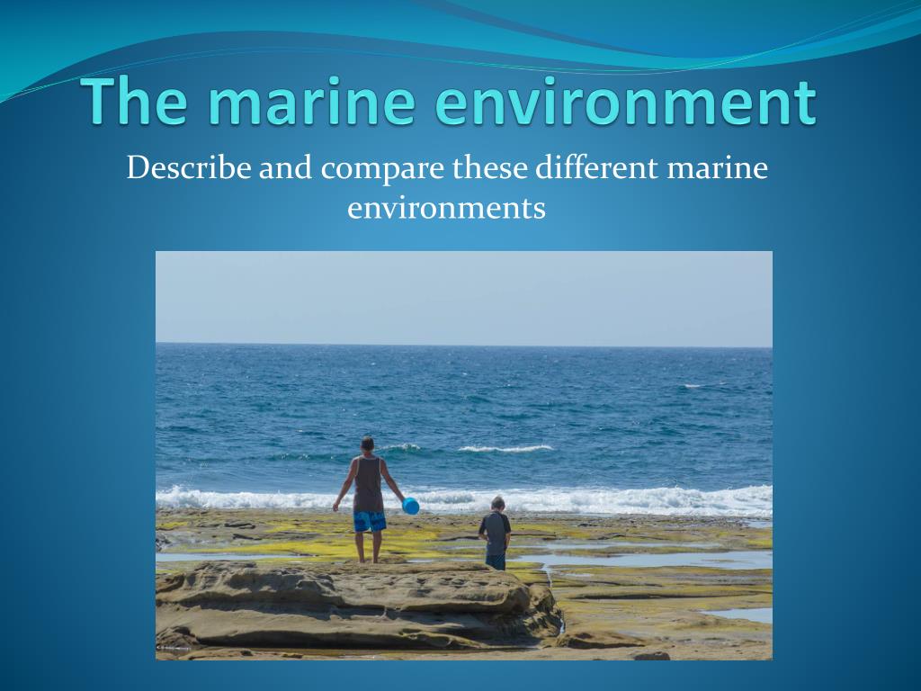 PPT - The marine environment PowerPoint Presentation, free download ...