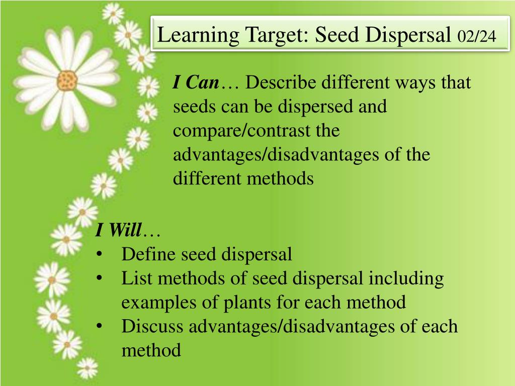 PPT - Learning Target: Seed Dispersal 02/24 PowerPoint Presentation ...