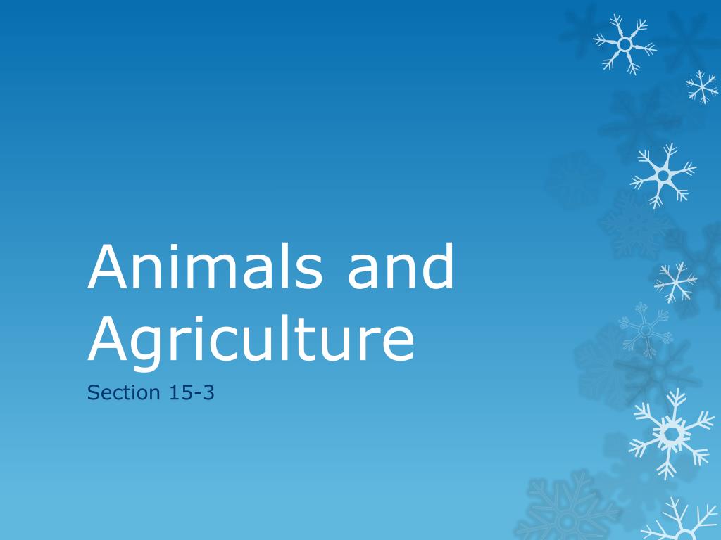 PPT - Animals and Agriculture PowerPoint Presentation, free download ...