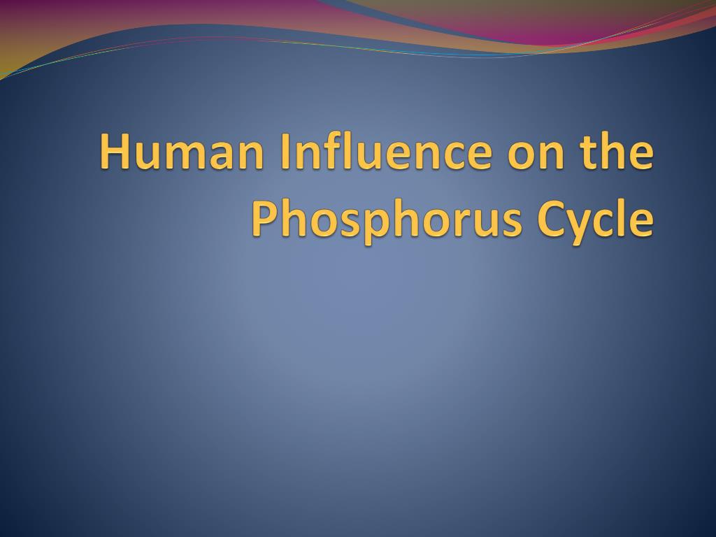 PPT - Human Influence on the Phosphorus Cycle PowerPoint Presentation ...