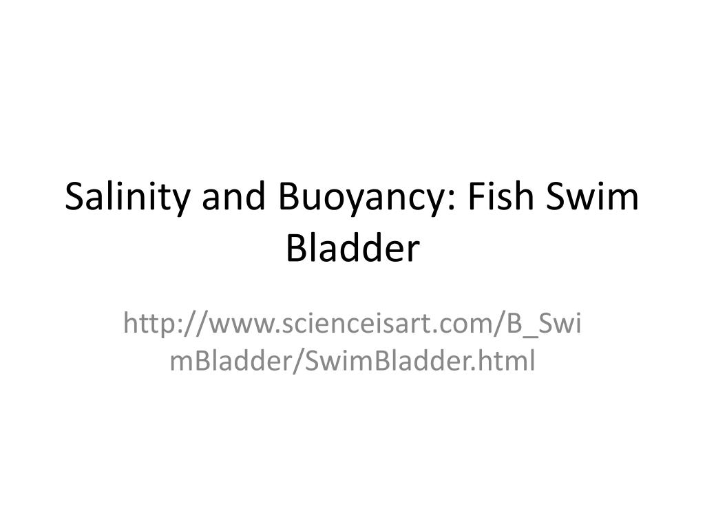 PPT - Salinity and Buoyancy: Fish Swim Bladder PowerPoint Presentation ...