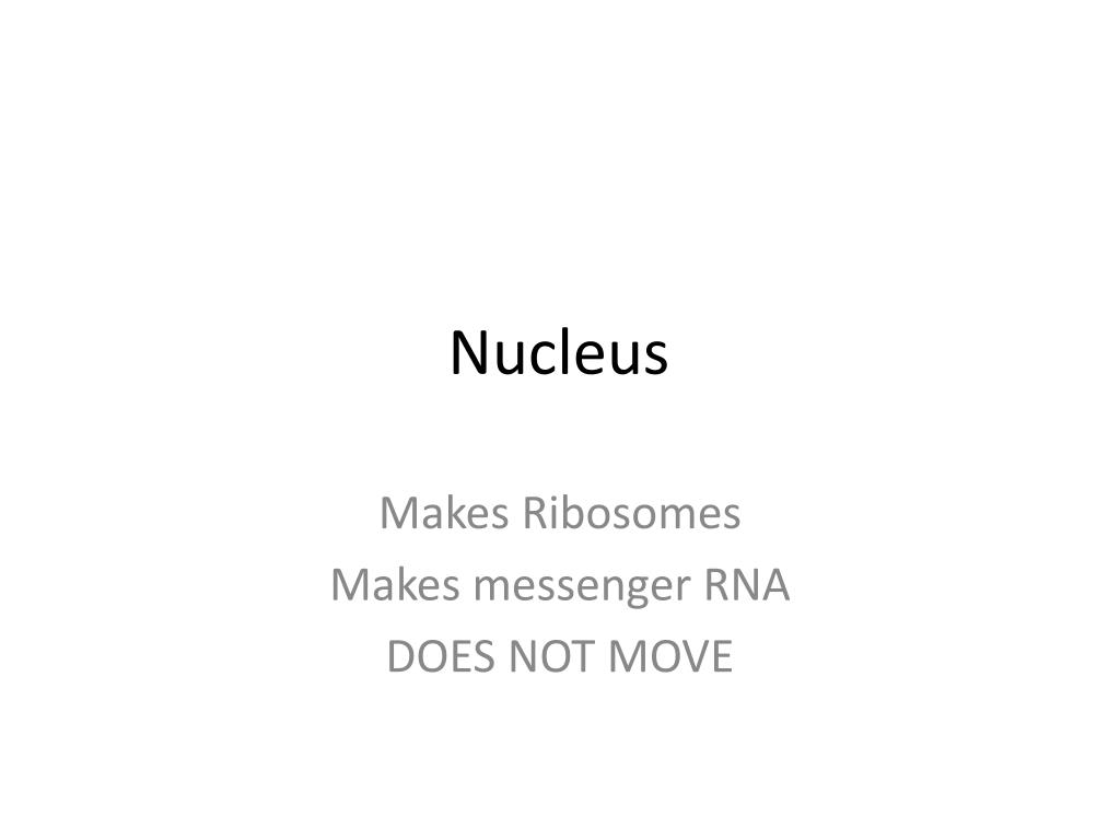 PPT - Nucleus PowerPoint Presentation, free download - ID:1922887