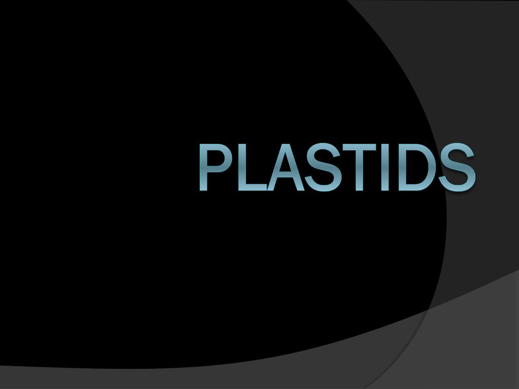 PPT - Plastids PowerPoint Presentation, free download - ID:1922902