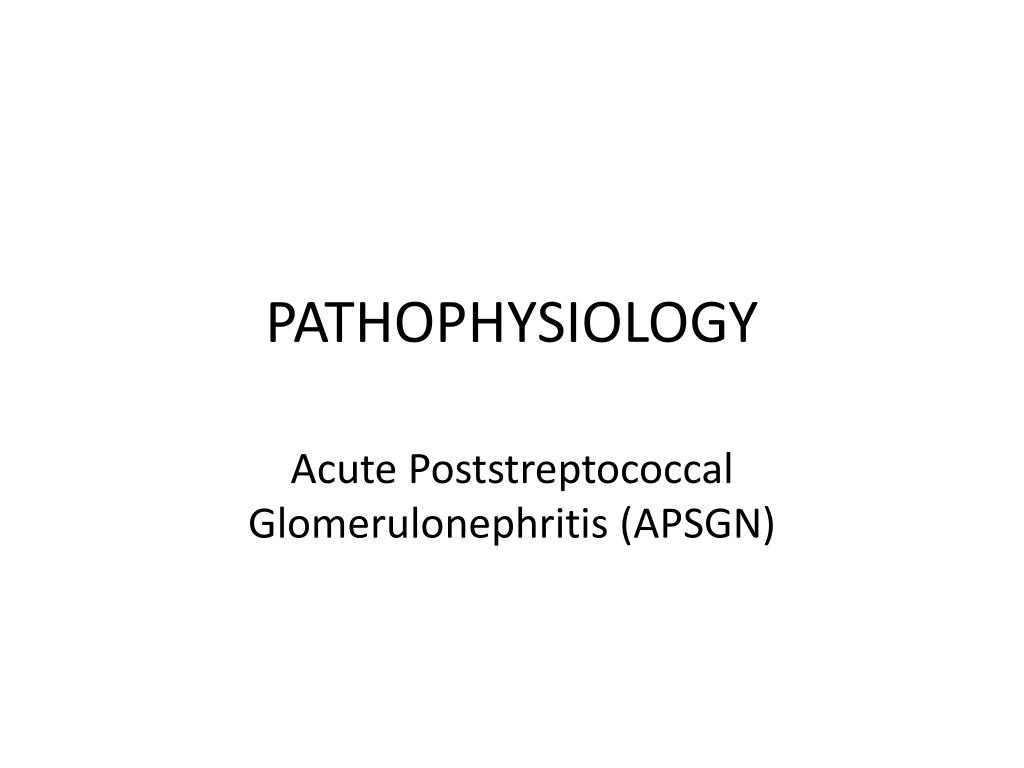 PPT - PATHOPHYSIOLOGY PowerPoint Presentation, free download - ID:1922924