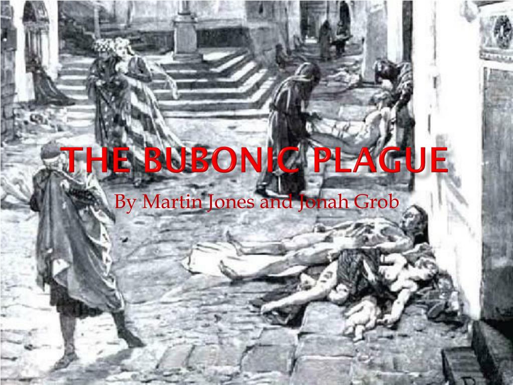 PPT - The Bubonic Plague PowerPoint Presentation, free download - ID ...