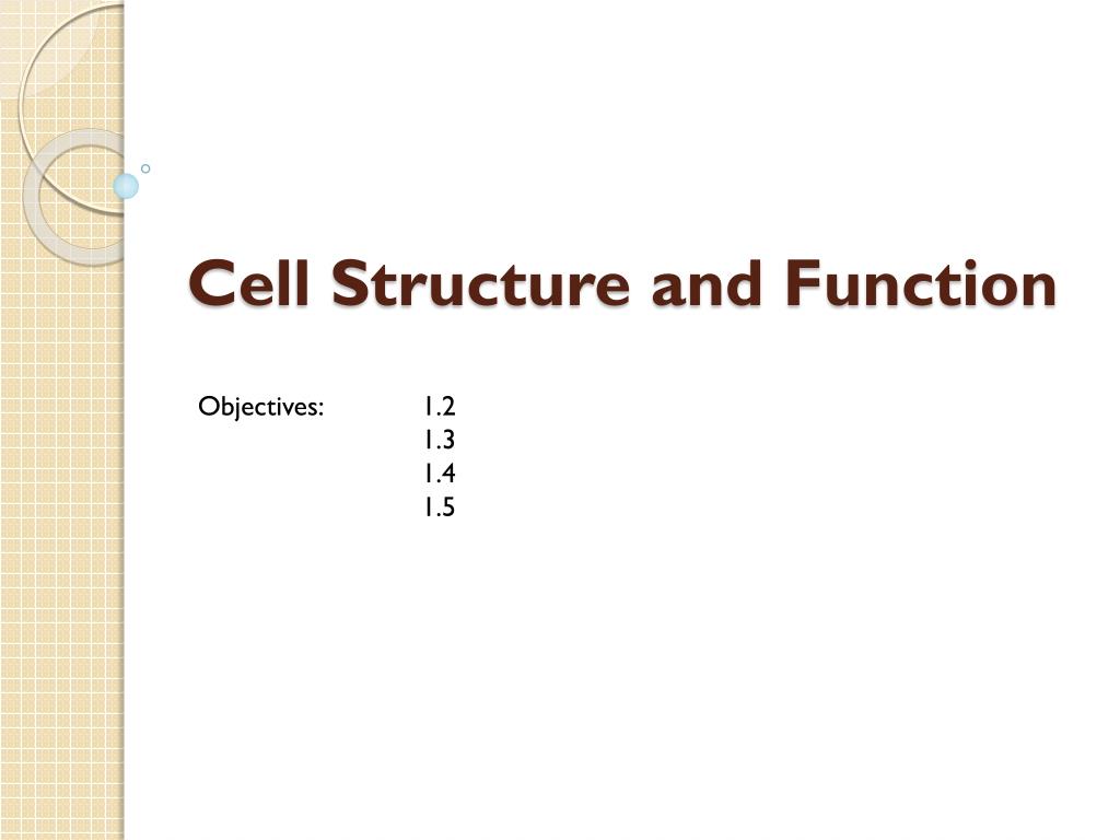 PPT - Exploring Cell Structure and Function PowerPoint Presentation ...