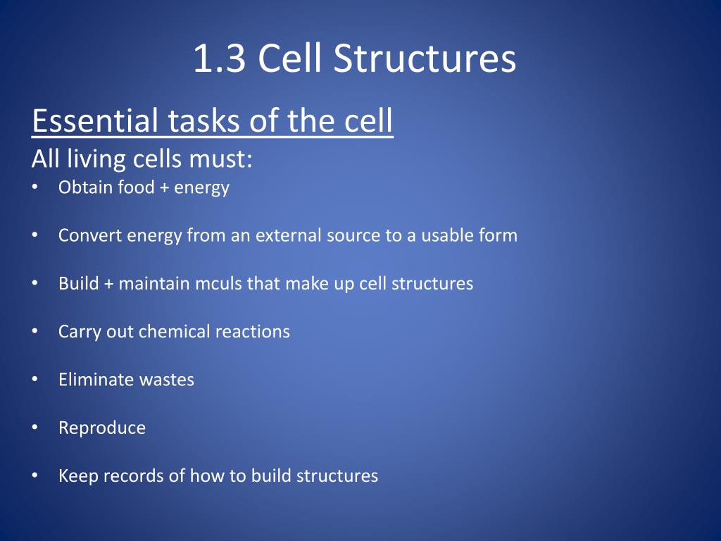 PPT - 1.3 Cell Structures PowerPoint Presentation, free download - ID ...