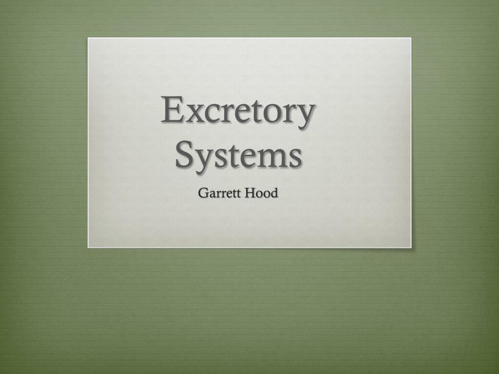 PPT - Excretory Systems PowerPoint Presentation, free download - ID:1924479