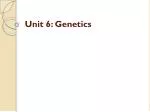 PPT - Unit 6 - Genetics Introduction PowerPoint Presentation, free ...