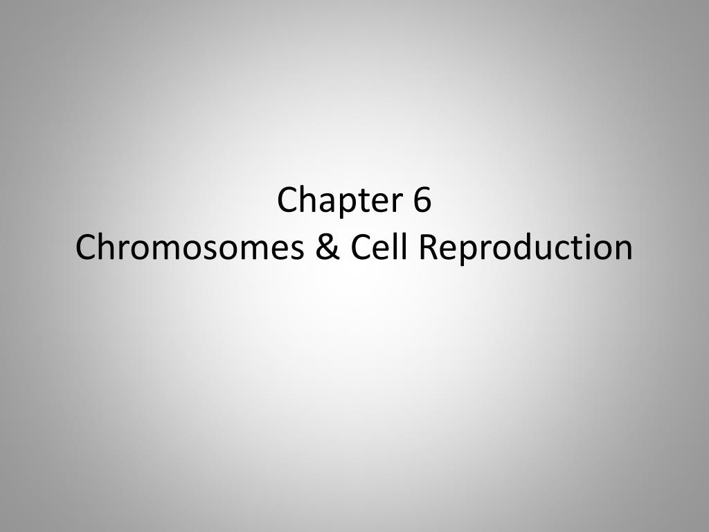 PPT - Chapter 6 Chromosomes & Cell Reproduction PowerPoint Presentation ...