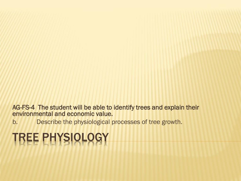 PPT - Tree Physiology PowerPoint Presentation, free download - ID:1924818