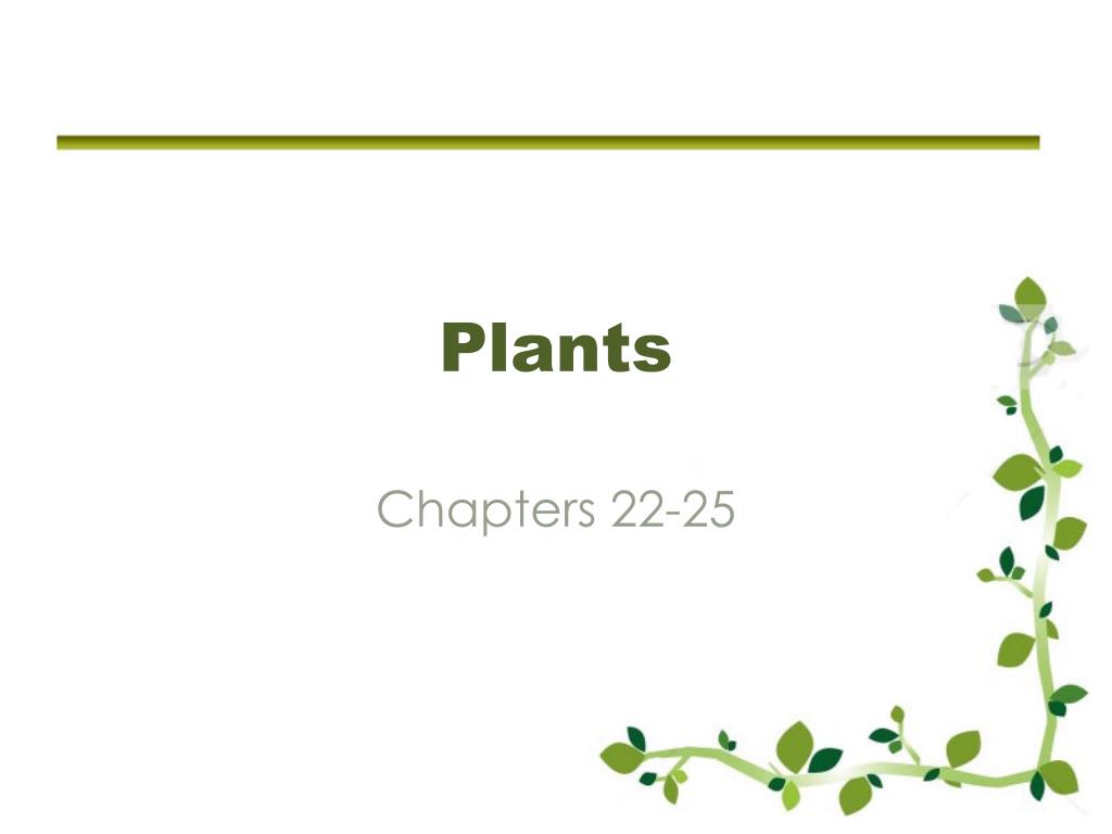 PPT - Plants PowerPoint Presentation, free download - ID:1925676