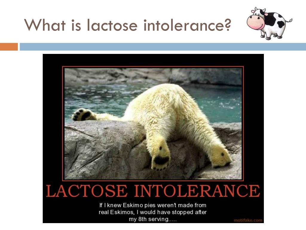 PPT - What is lactose intolerance? PowerPoint Presentation, free ...