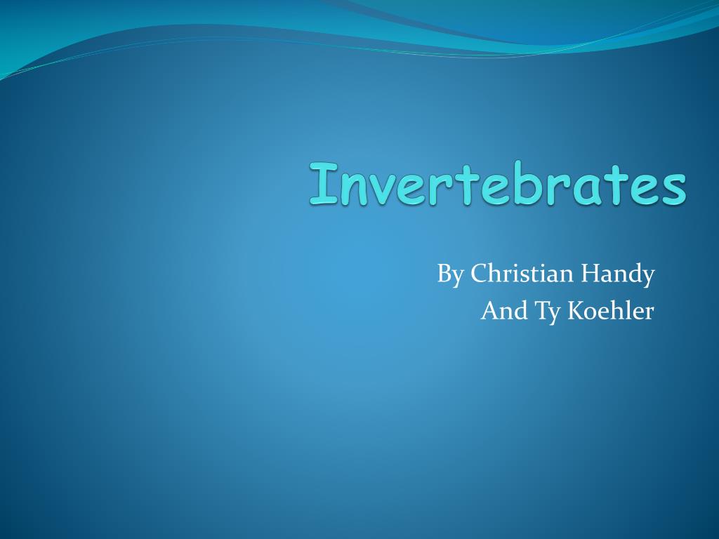 PPT - Invertebrates PowerPoint Presentation, free download - ID:1925939