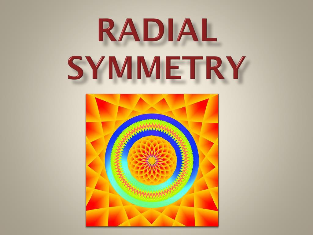 PPT - Radial Symmetry PowerPoint Presentation, free download - ID:1926056