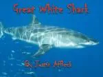 PPT - Great White Shark PowerPoint Presentation, free download - ID:2138409