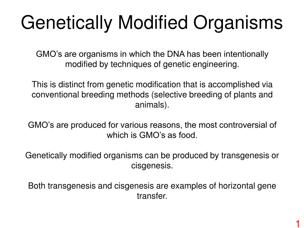 PPT - Genetically Modified Organisms PowerPoint Presentation, free ...