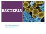 PPT - Bacteria PowerPoint Presentation, free download - ID:2923805
