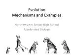 PPT - Mechanisms Examples PowerPoint Presentation, free download - ID ...