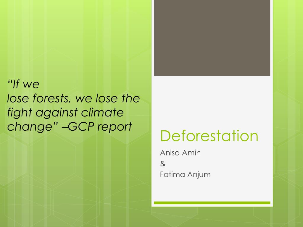 PPT - Deforestation PowerPoint Presentation, free download - ID:1931042