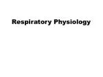 PPT - Respiratory Physiology PowerPoint Presentation, free download ...