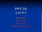 PPT - PHT 434 PowerPoint Presentation, free download - ID:3329067