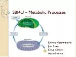 PPT - PHOTOSYNTHESIS SBI4U PowerPoint Presentation, free download - ID ...