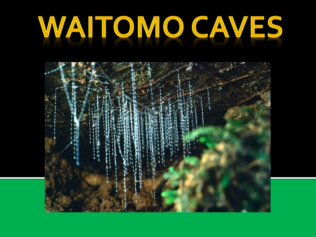 PPT - Waitomo Caves PowerPoint Presentation, free download - ID:1931710