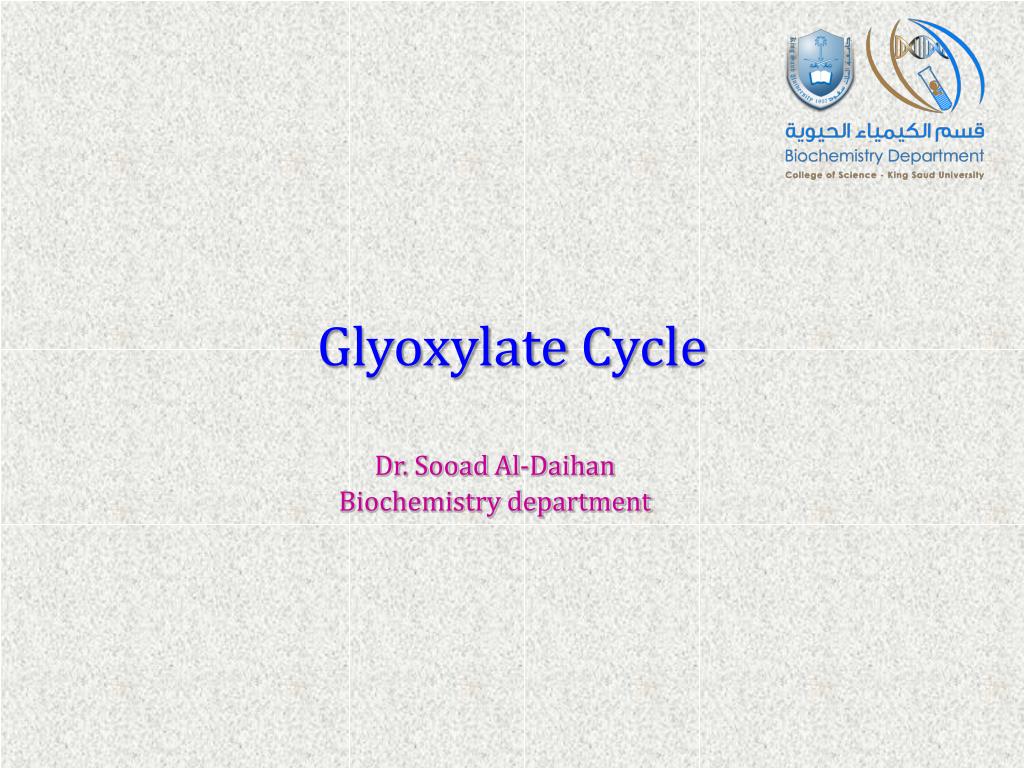 PPT - Glyoxylate Cycle PowerPoint Presentation, free download - ID:1932044