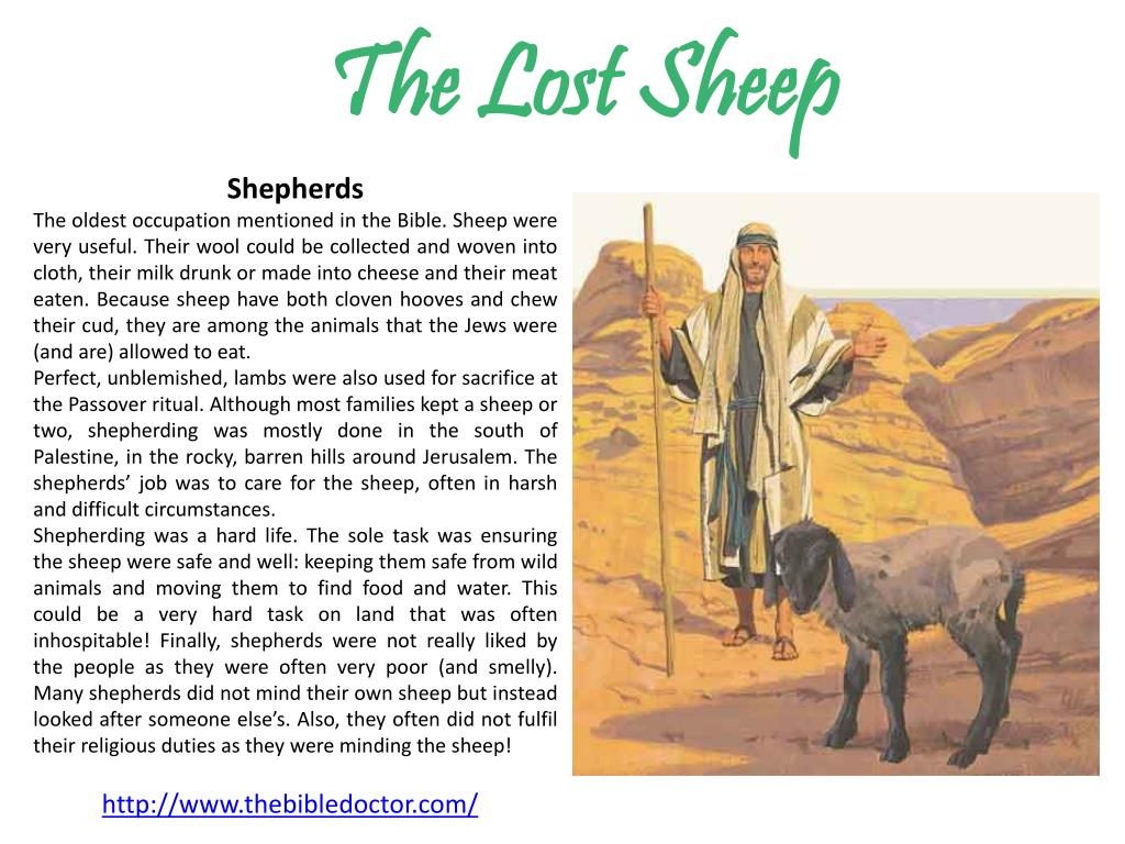 PPT - The Lost Sheep PowerPoint Presentation, free download - ID:1932875