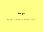 PPT - Poppy Flower PowerPoint Presentation, free download - ID:1560477