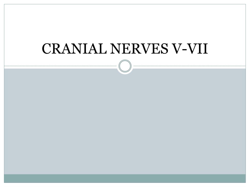 PPT - CRANIAL NERVES V-VII PowerPoint Presentation, free download - ID ...