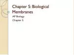 PPT - Biological Membranes PowerPoint Presentation, free download - ID ...