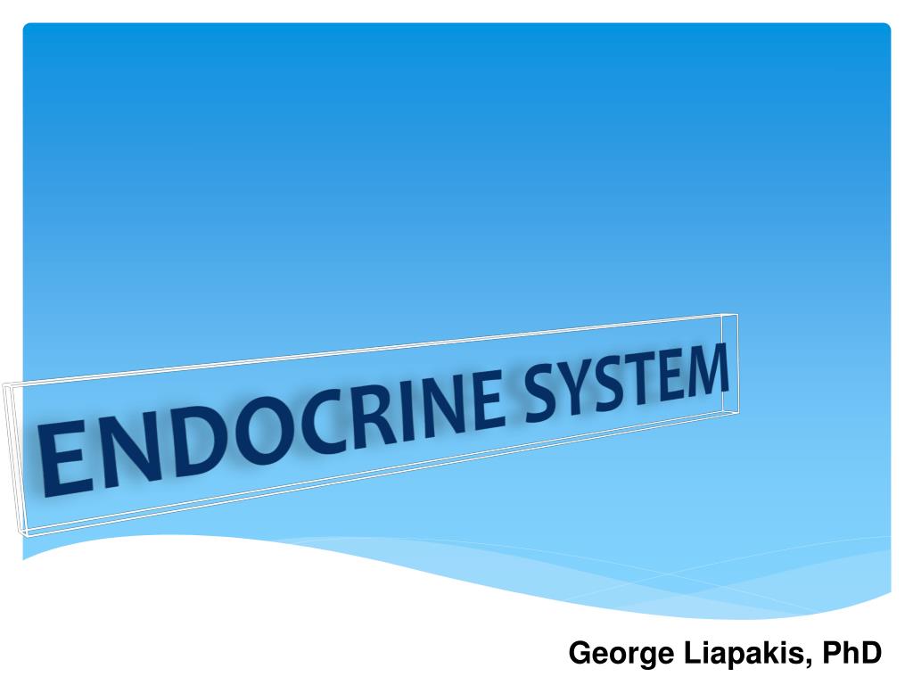 PPT - ENDOCRINE SYSTEM PowerPoint Presentation, free download - ID:1935603