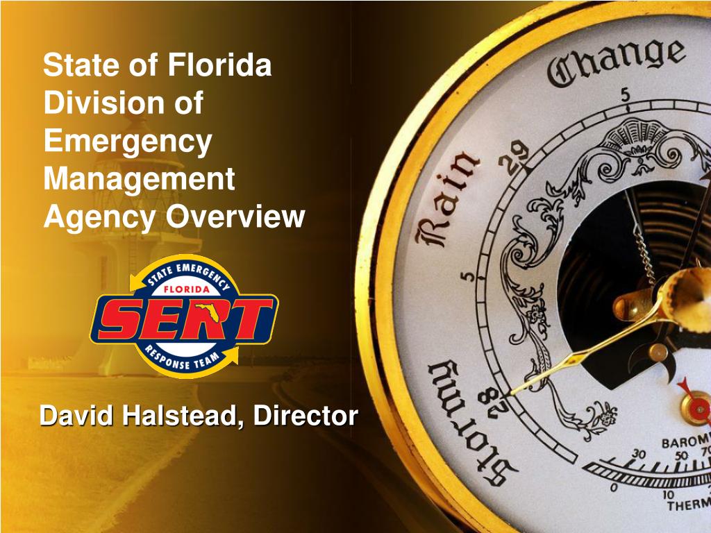 PPT - David Halstead, Director PowerPoint Presentation, free download ...