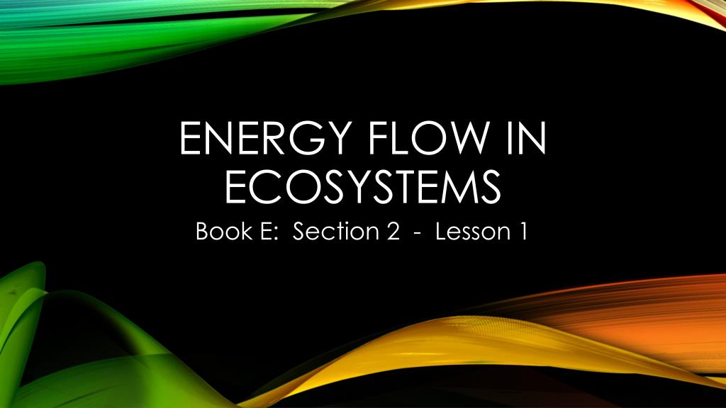 PPT - Energy flow in ecosystems PowerPoint Presentation, free download ...