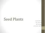 PPT - Seed Plants PowerPoint Presentation, free download - ID:1948916