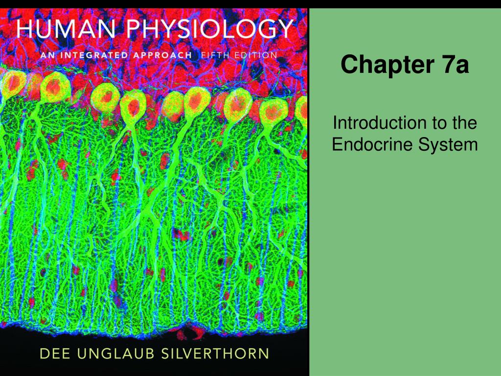 PPT - Chapter 7a PowerPoint Presentation, free download - ID:1936620